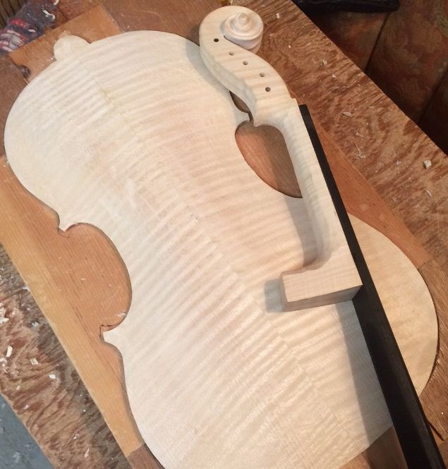 16-1/2" 5-string viola near completion | Five String Fiddles
